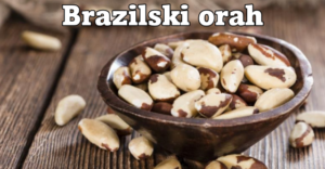 Kako se koristi brazilski orah kao lek | kalorije | cena